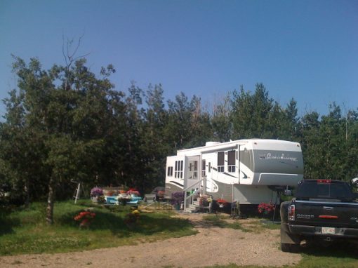 Campground Camrose | Whistle Stop Golf Course
